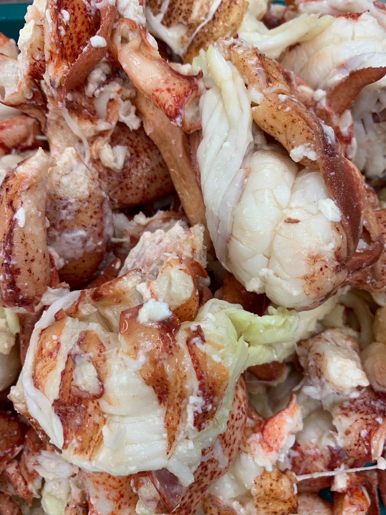 Frozen Lobster Meat - Online | TRENTON BRIDGE LOBSTER POUND INC